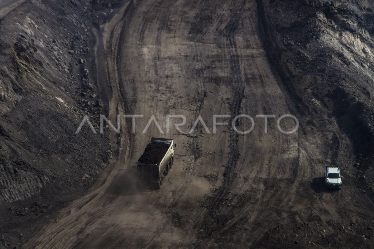 HARGA BATU BARA ACUAN SENTUH LEVEL TERTINGGI ANTARA Foto