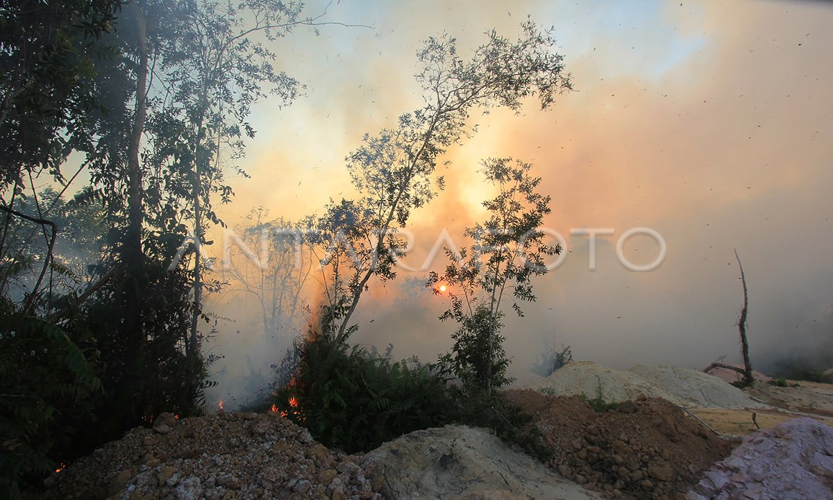 KEBAKARAN HUTAN DAN LAHAN DI RIAU MELUAS | ANTARA Foto