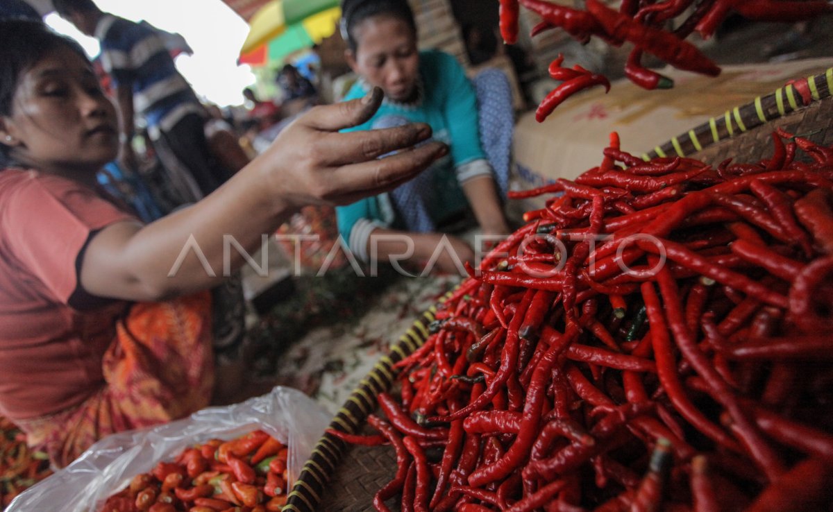 STOK CABAI AMAN MENJELANG IDUL ADHA 2017 | ANTARA Foto STOK CABAI AMAN MENJELANG IDUL ADHA 2017 | ANTARA Foto