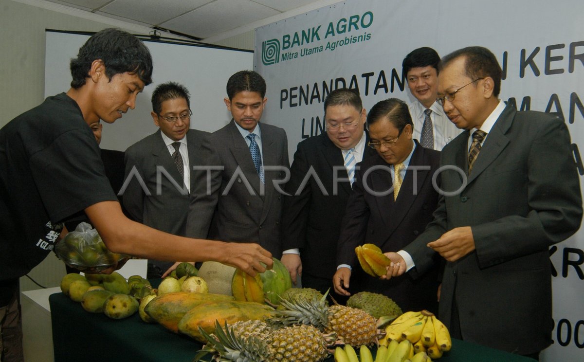 PEDAGANG BUAH | ANTARA Foto PEDAGANG BUAH | ANTARA Foto