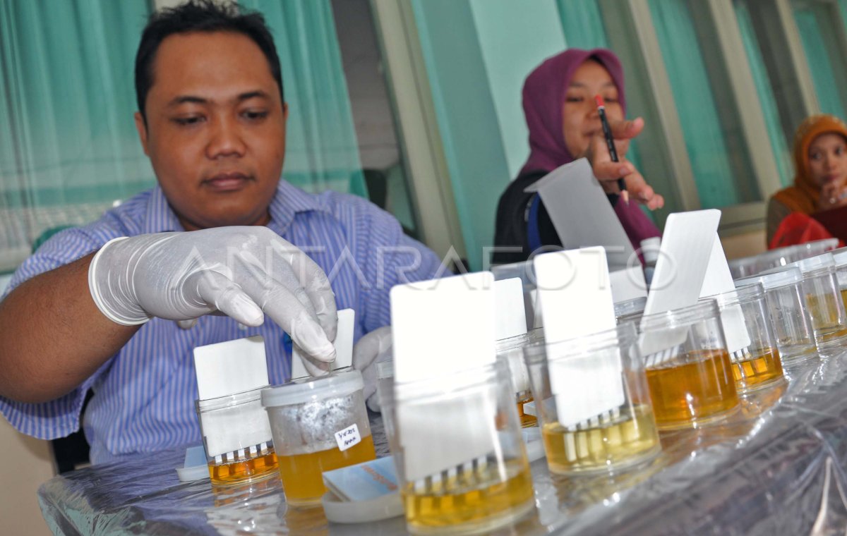 SOSIALISASI BAHAYA NARKOBA | ANTARA Foto