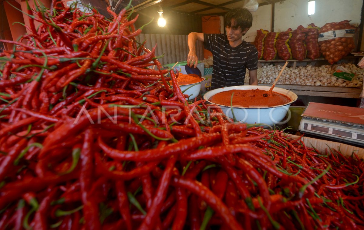 HARGA CABAI MERAH TURUN | ANTARA Foto