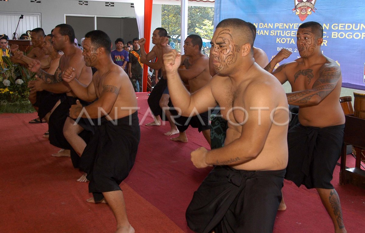 TARI HAKA | ANTARA Foto