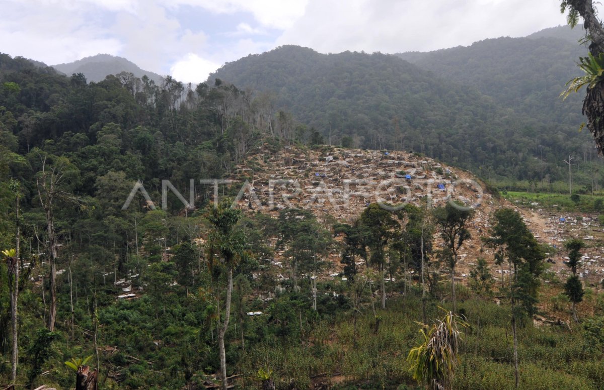 TAMBANG EMAS DI TAMAN NASIONAL | ANTARA Foto TAMBANG EMAS DI TAMAN NASIONAL | ANTARA Foto