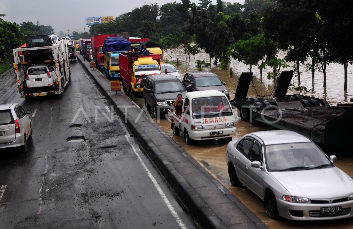 PANTURA MACET TOTAL | ANTARA Foto