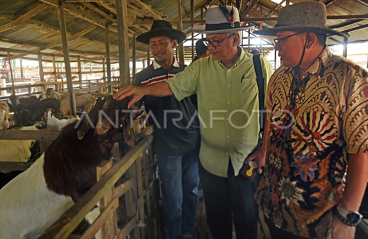 Dorong kemandirian UMKM di Kalimantan | ANTARA Foto Dorong kemandirian UMKM di Kalimantan | ANTARA Foto
