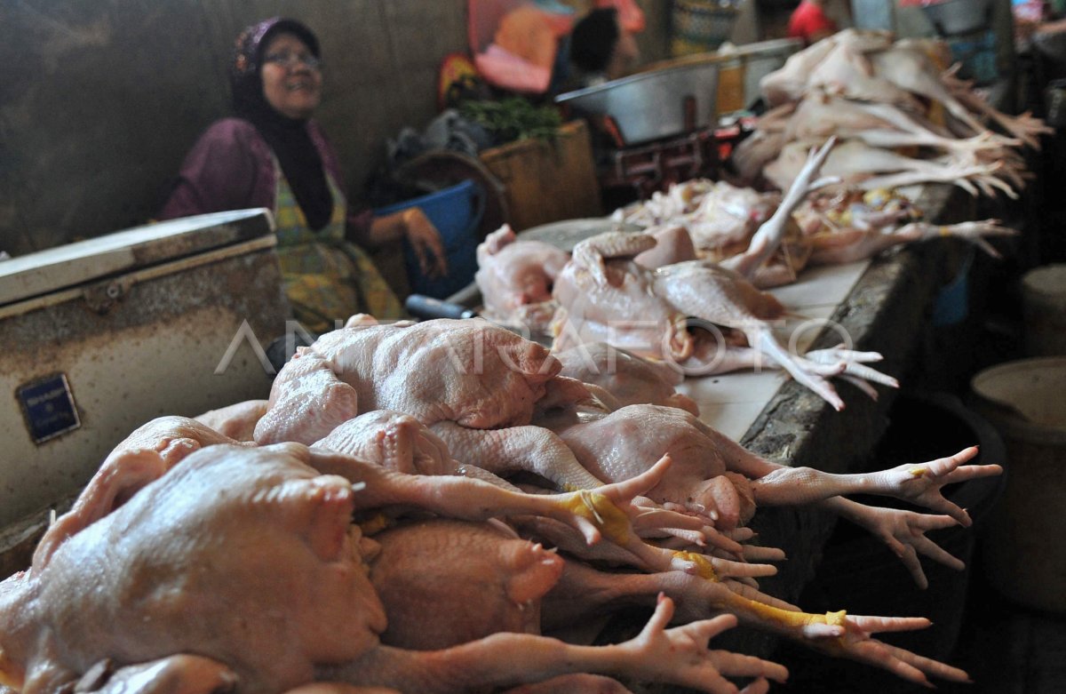 DAGING AYAM | ANTARA Foto