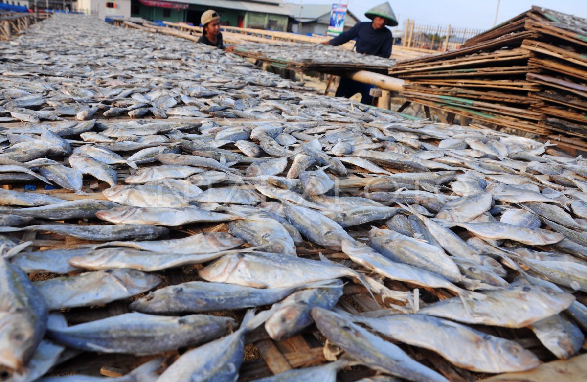 PRODUK IKAN OLAHAN MENINGKAT | ANTARA Foto