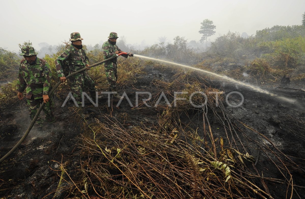 PEMADAMAN KEBAKARAN LAHAN JAMBI | ANTARA Foto