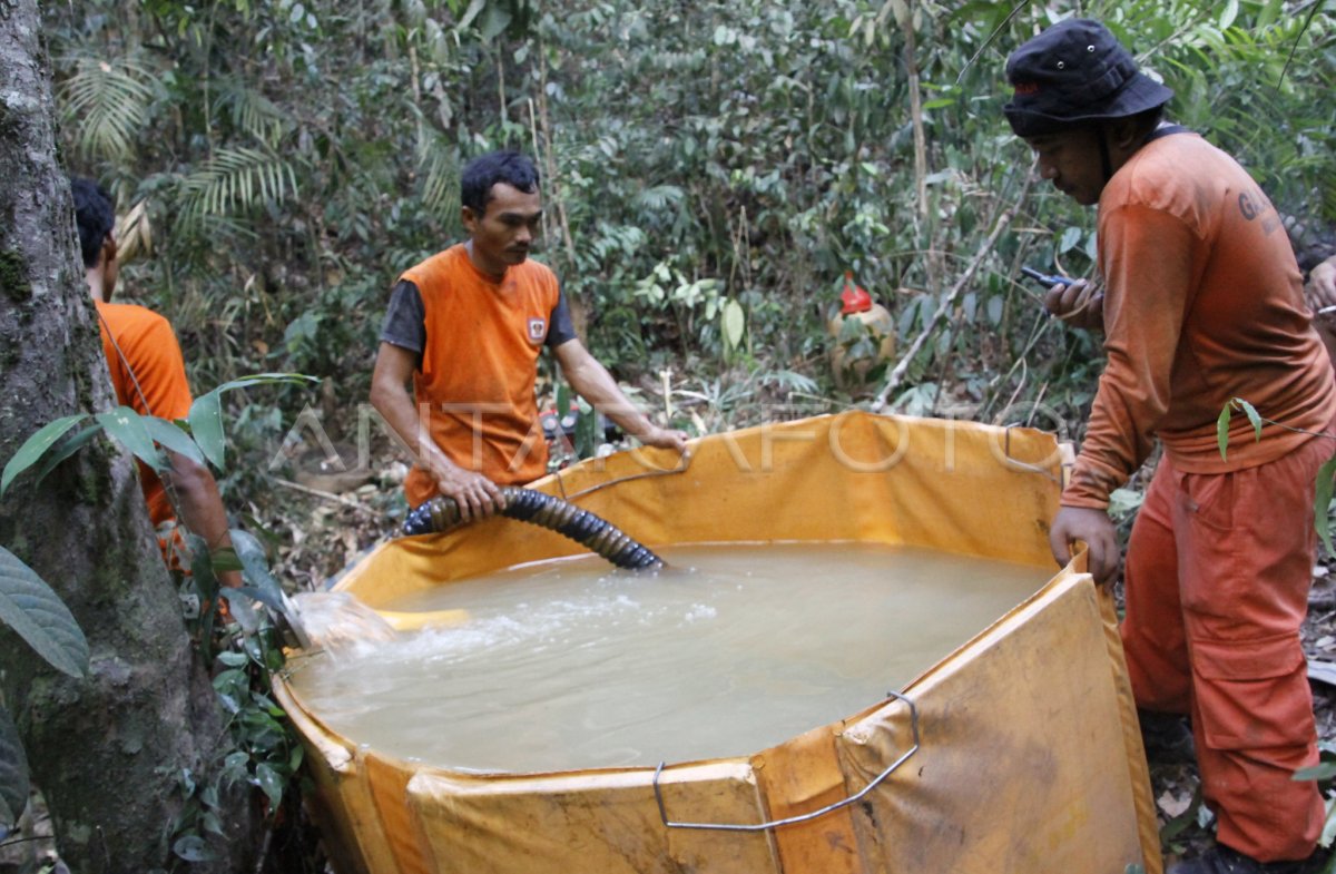 KENDALA PENANGANAN KEBAKARAN HUTAN | ANTARA Foto