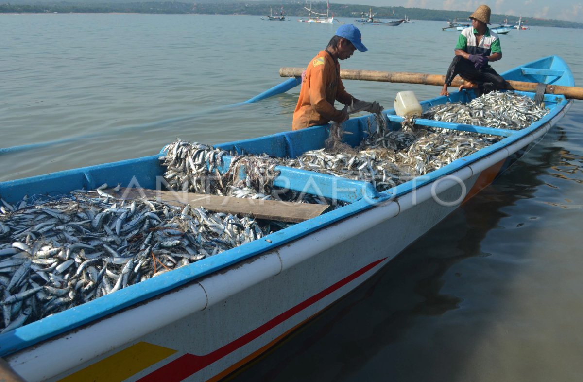 TANGKAPAN IKAN NELAYAN | ANTARA Foto TANGKAPAN IKAN NELAYAN | ANTARA Foto
