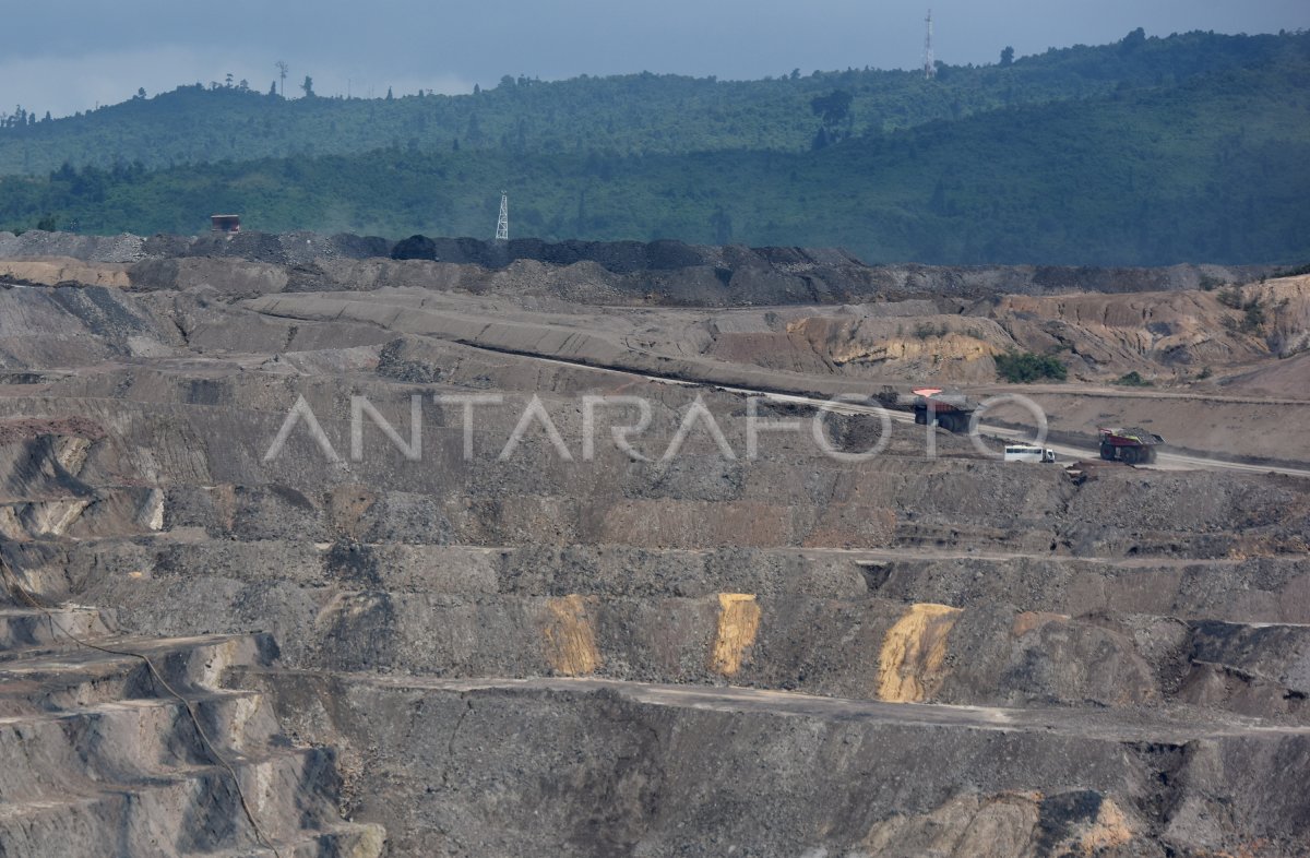 PRODUKSI BATUBARA | ANTARA Foto
