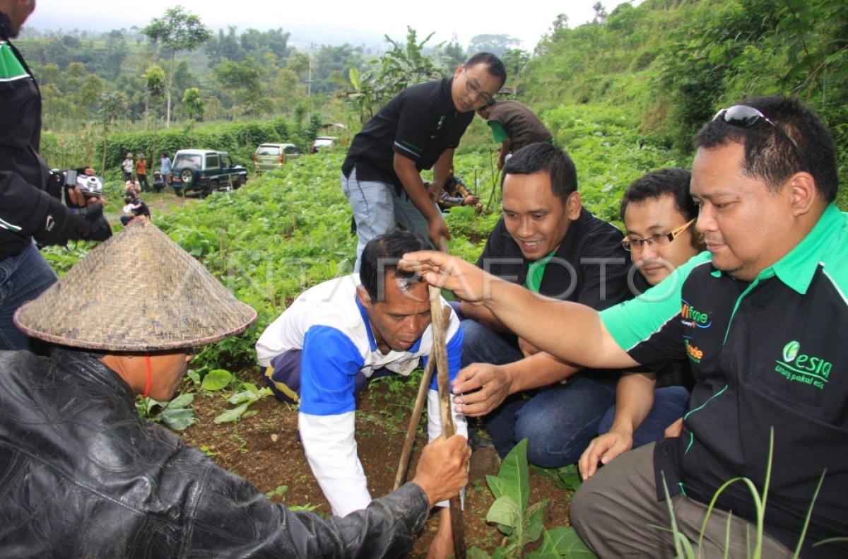 TANAM POHON | ANTARA Foto