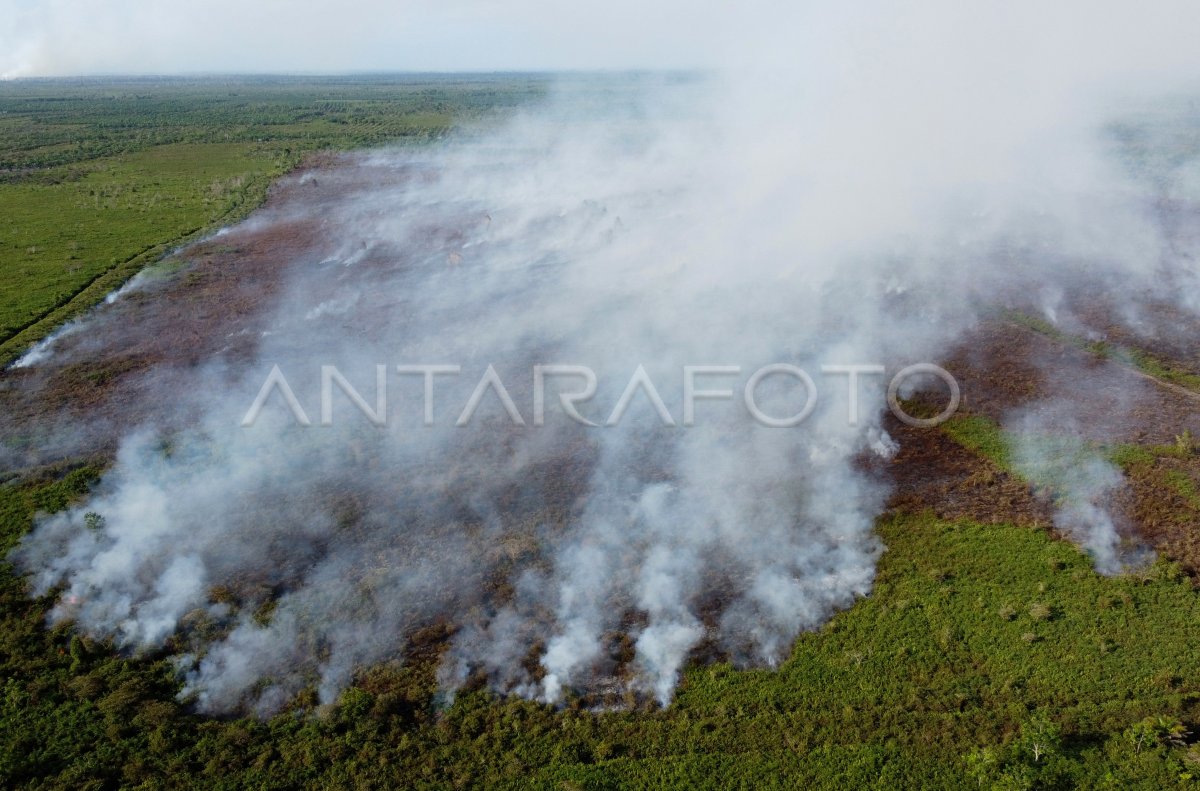 Kebakaran Hutan Dan Lahan Di Aceh Barat Antara Foto