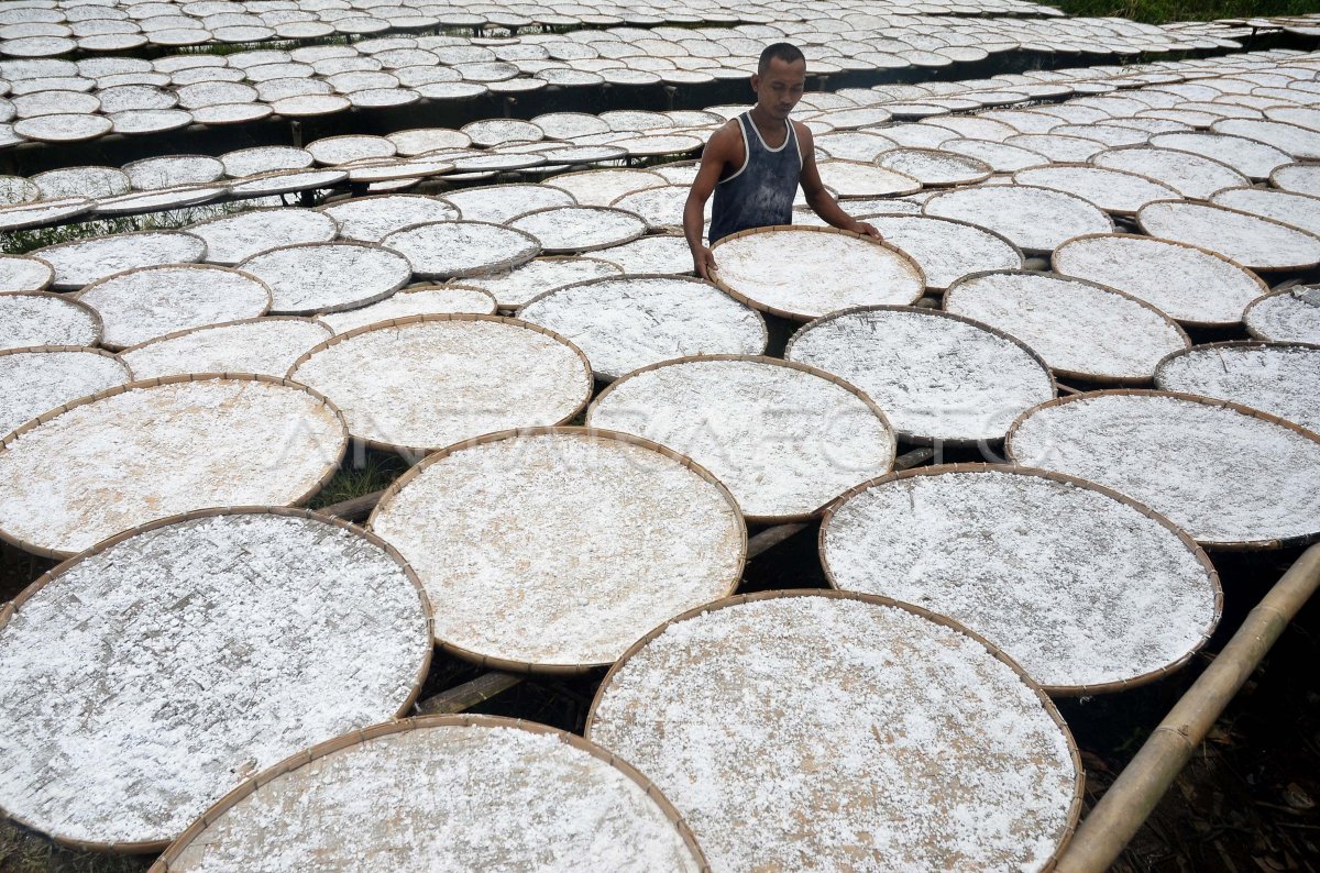 Sentra Pembuatan Tepung Tapioka Antara Foto