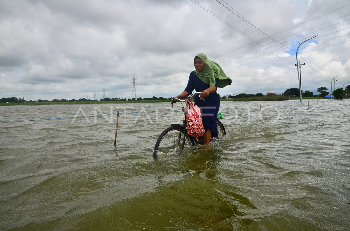 JALAN DESA TERGENANG BANJIR | ANTARA Foto