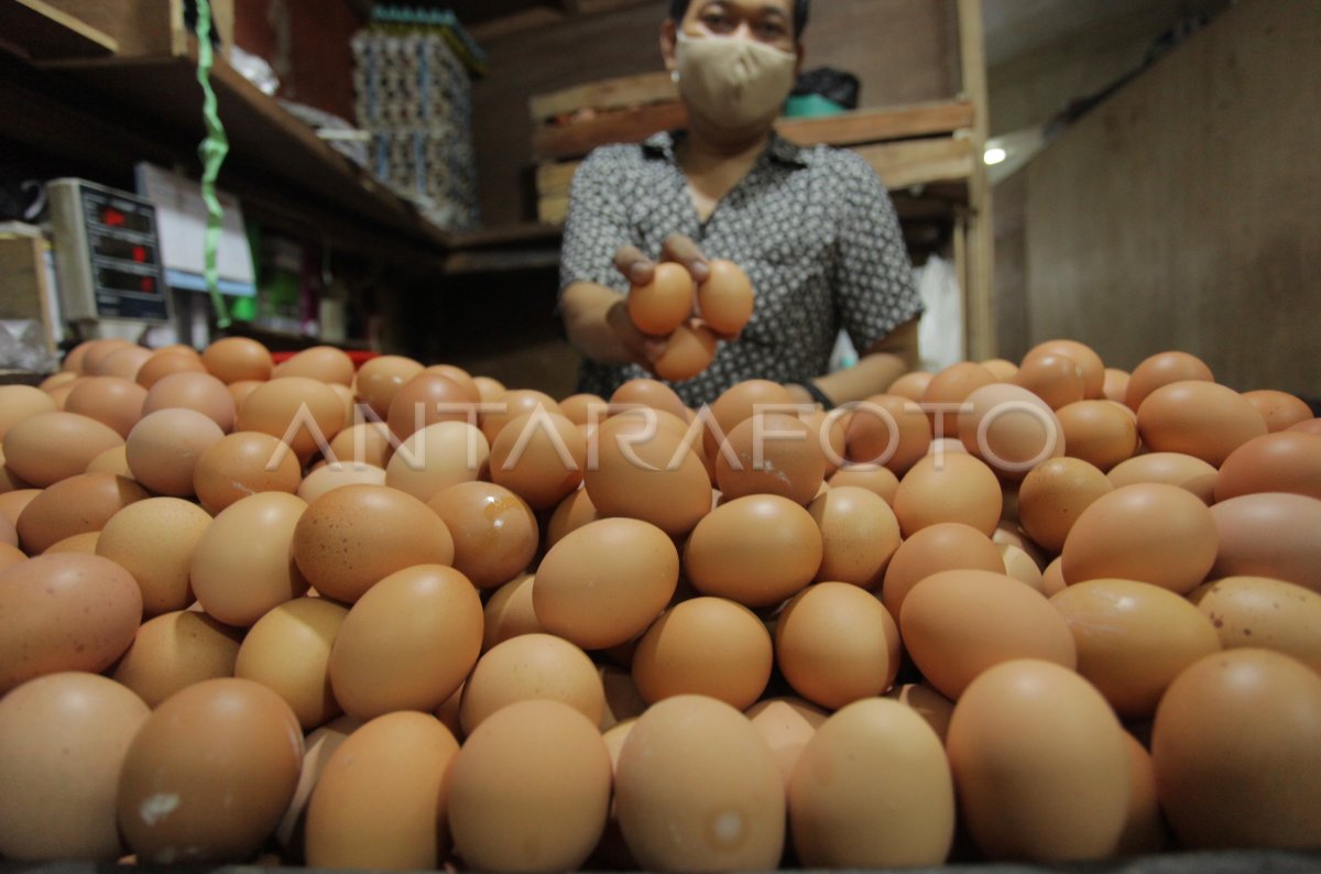 KENAIKAN HARGA TELUR AYAM JELANG LEBARAN | ANTARA Foto