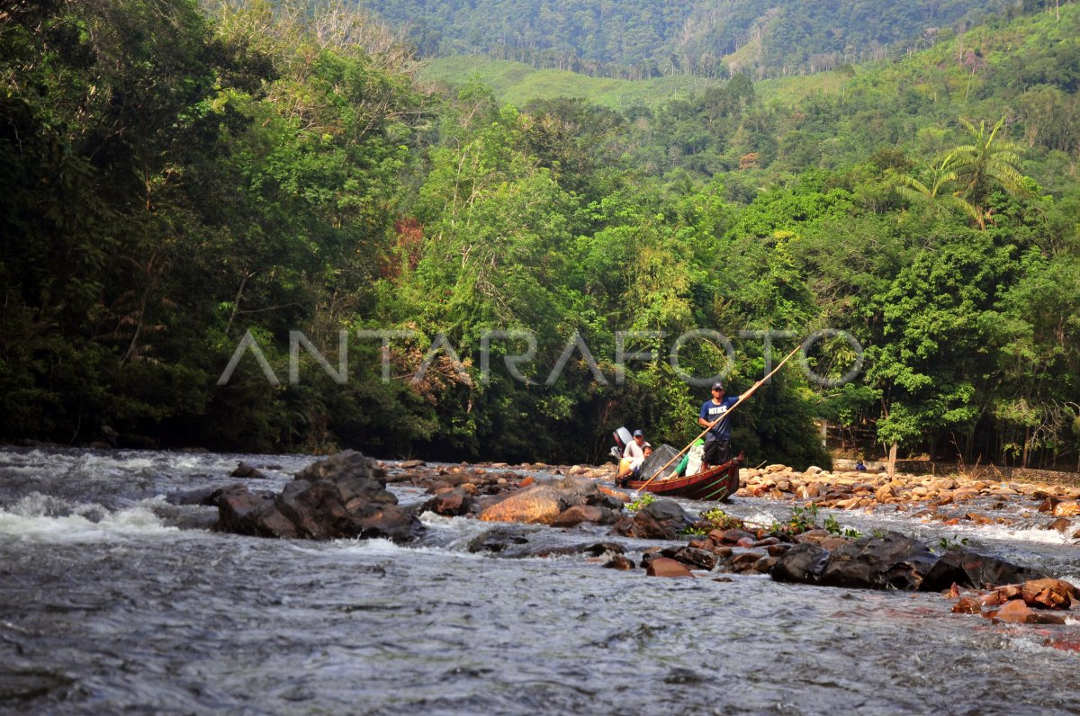 KAWASAN BUKIT RIMBANG BALING | ANTARA Foto KAWASAN BUKIT RIMBANG BALING | ANTARA Foto