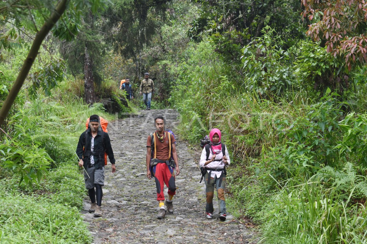 PENDAKI GUNUNG LAWU | ANTARA Foto