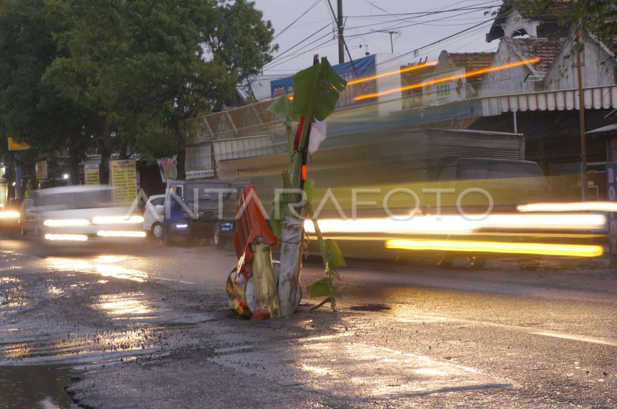 JALAN NASIONAL RUSAK DITANAMI POHON PISANG | ANTARA Foto JALAN NASIONAL RUSAK DITANAMI POHON PISANG | ANTARA Foto