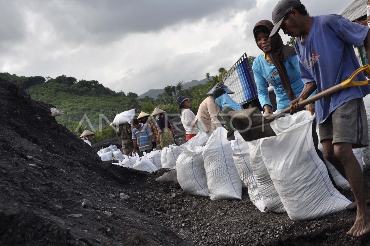 PEMANFAATAN BATUBARA | ANTARA Foto