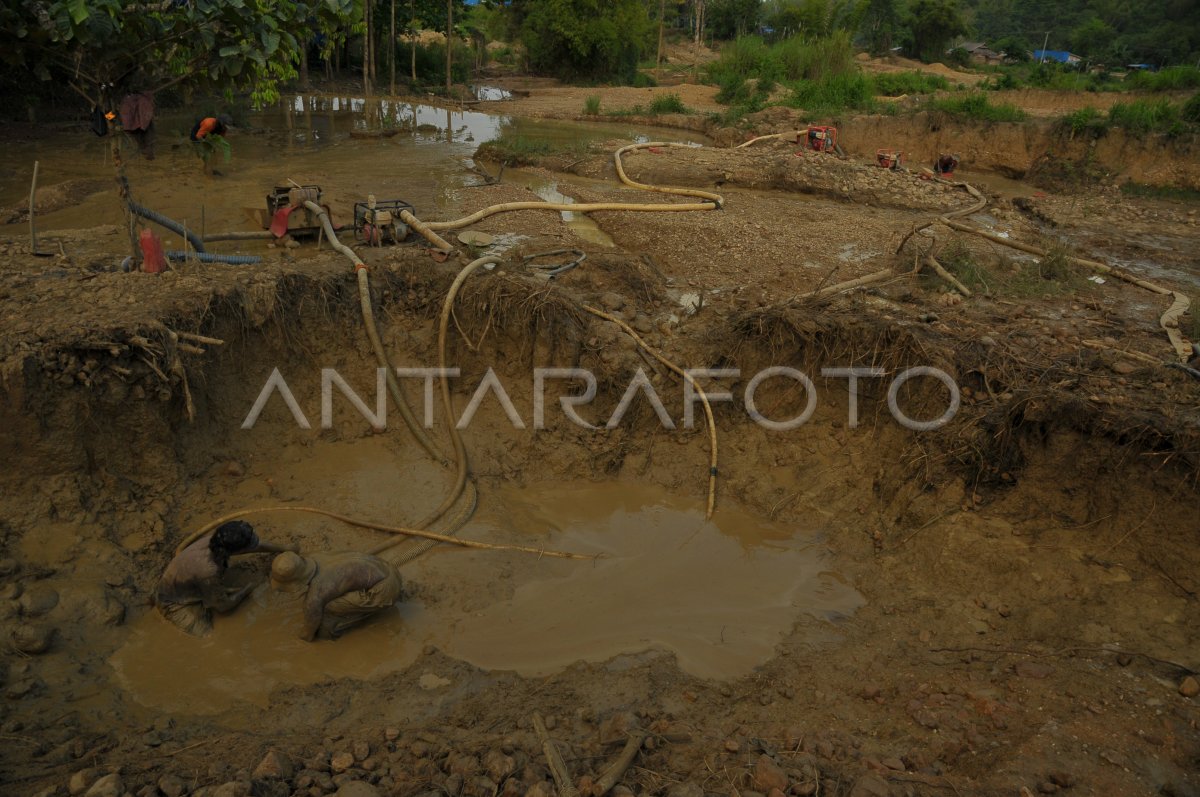 MENDULANG EMAS | ANTARA Foto MENDULANG EMAS | ANTARA Foto