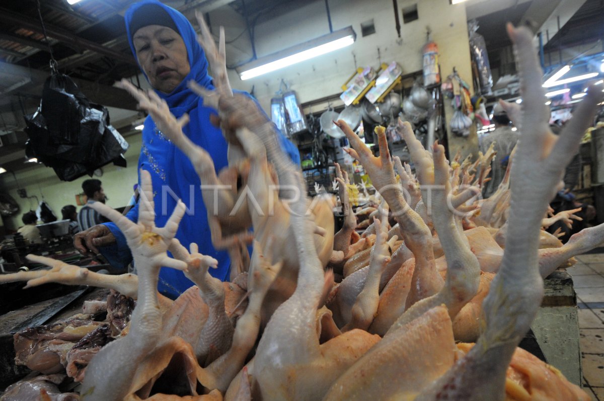 HARGA DAGING AYAM | ANTARA Foto