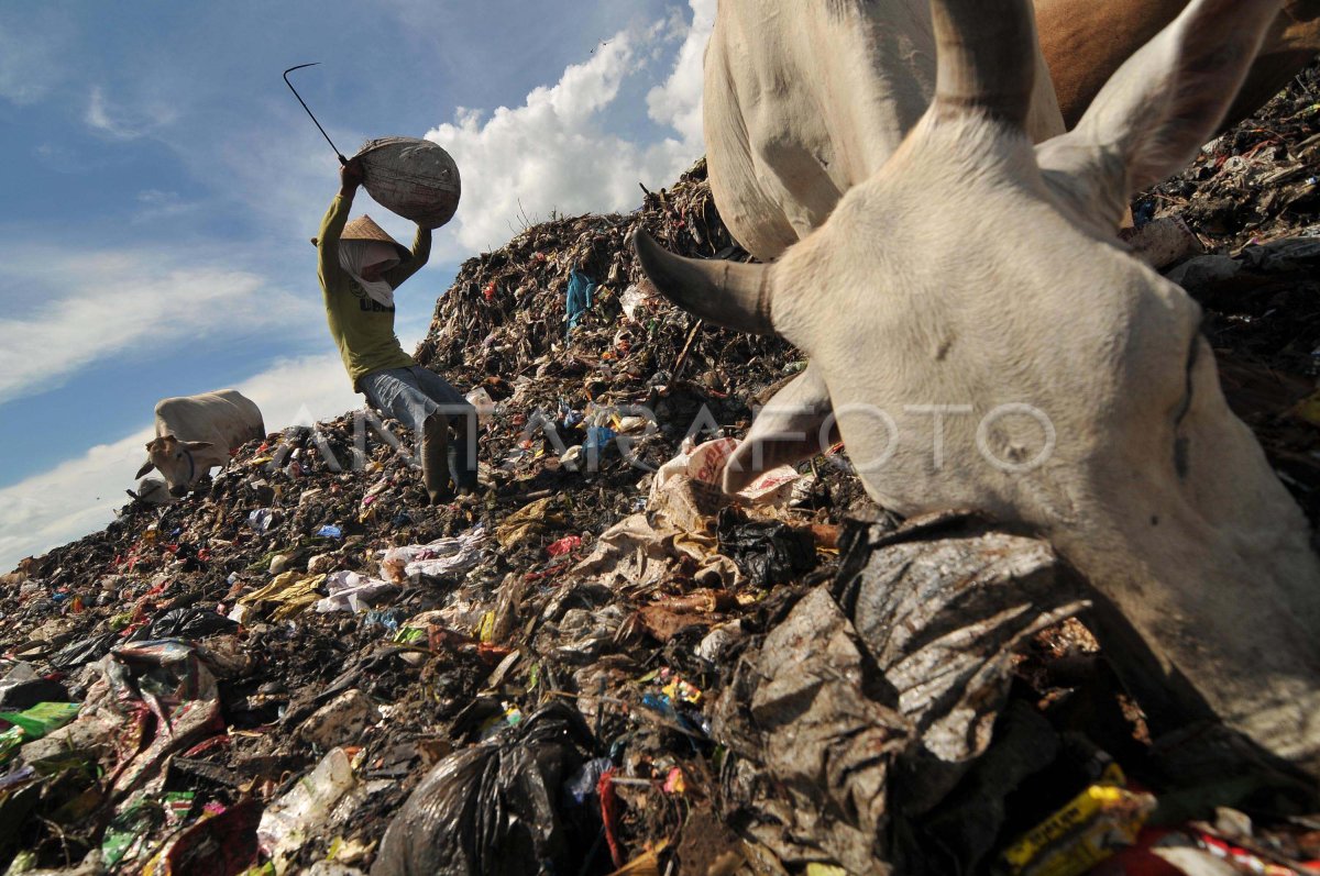 PEMANFAATAN LAHAN TPA | ANTARA Foto PEMANFAATAN LAHAN TPA | ANTARA Foto