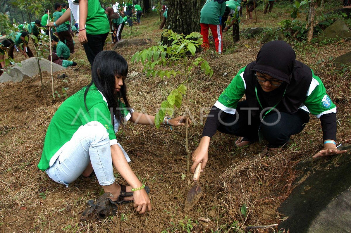 TANAM POHON | ANTARA Foto