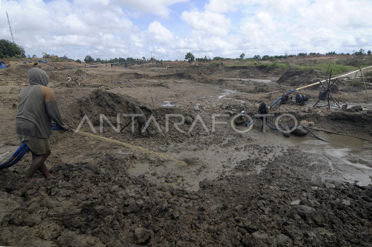 TAMBANG EMAS BOMBANA | ANTARA Foto