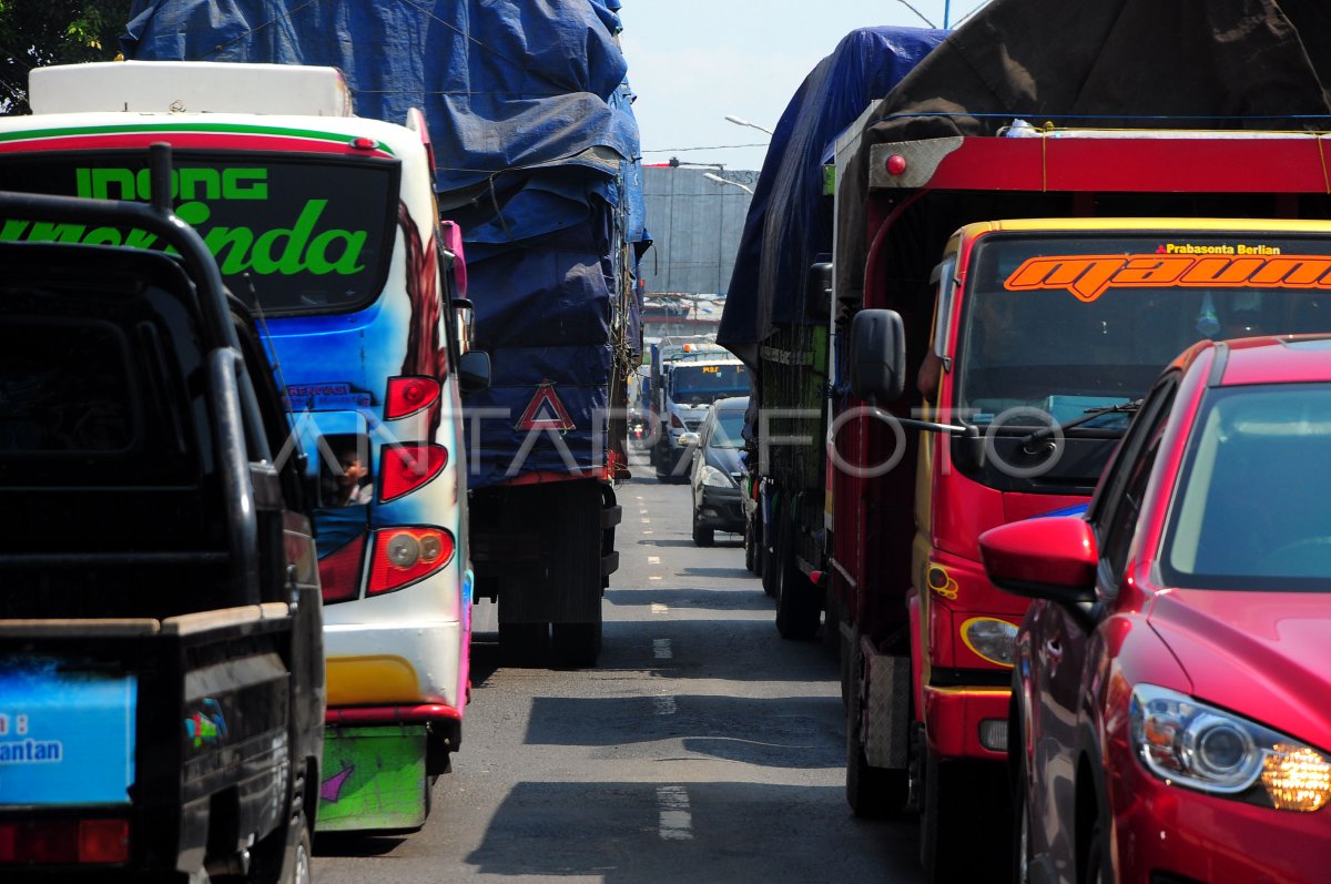 PANTURA MACET PANJANG | ANTARA Foto