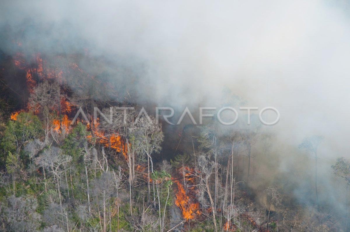 Riau Siaga Darurat Kebakaran Antara Foto