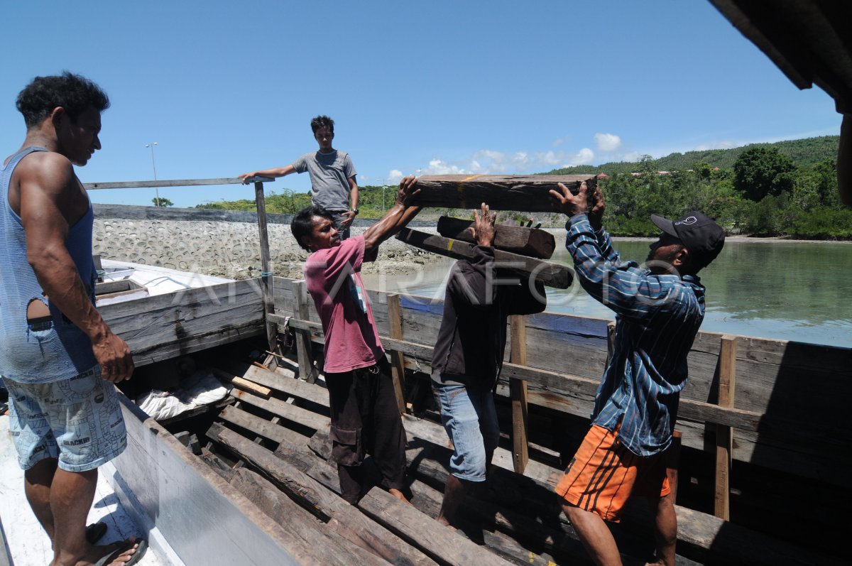 Gagalkan Penyelundupan Kayu Ebony Antara Foto