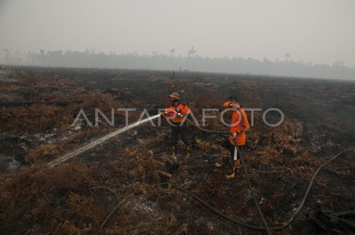LAWAN KEBAKARAN HUTAN DAN LAHAN | ANTARA Foto