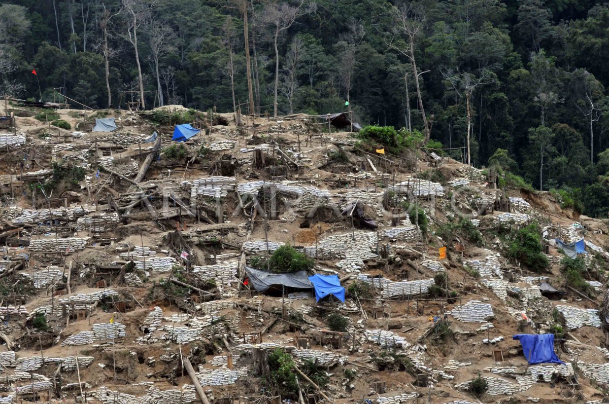 TAMBANG EMAS DI TAMAN NASIONAL | ANTARA Foto TAMBANG EMAS DI TAMAN NASIONAL | ANTARA Foto