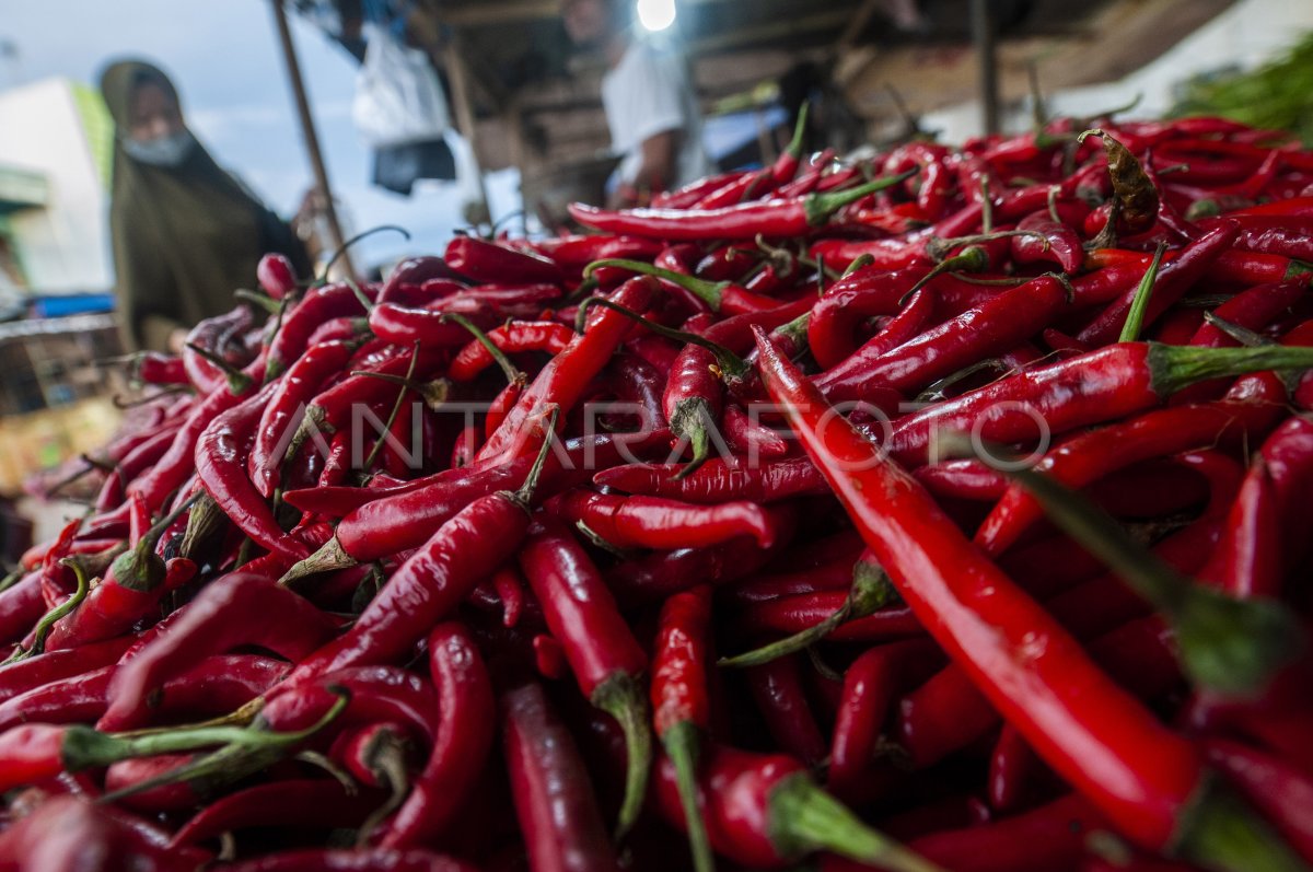 HARGA CABAI MERAH NAIK | ANTARA Foto