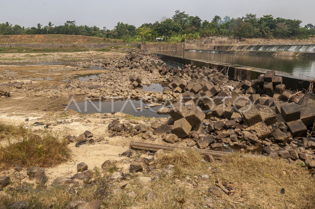 Penyusutan air Sungai Ciujung akibat kemarau | ANTARA Foto Penyusutan air Sungai Ciujung akibat kemarau | ANTARA Foto