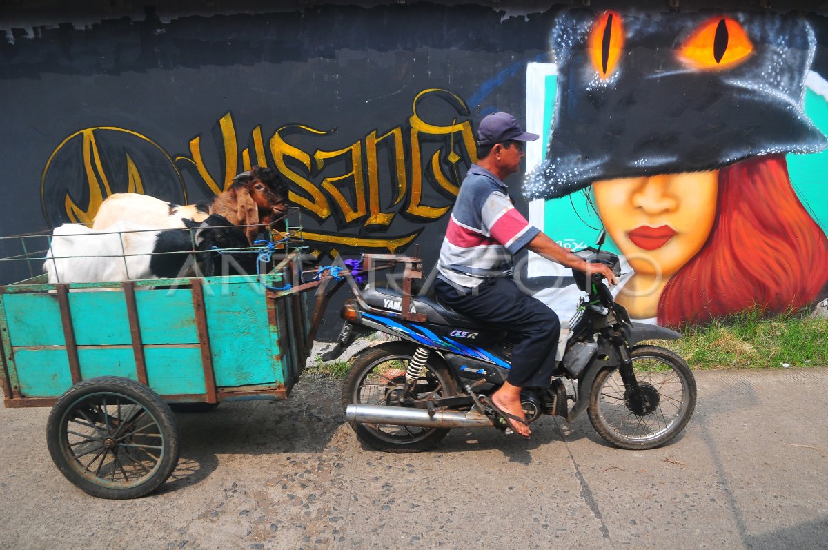 Jasa ojek kambing jelang Idul Adha | ANTARA Foto Jasa ojek kambing jelang Idul Adha | ANTARA Foto