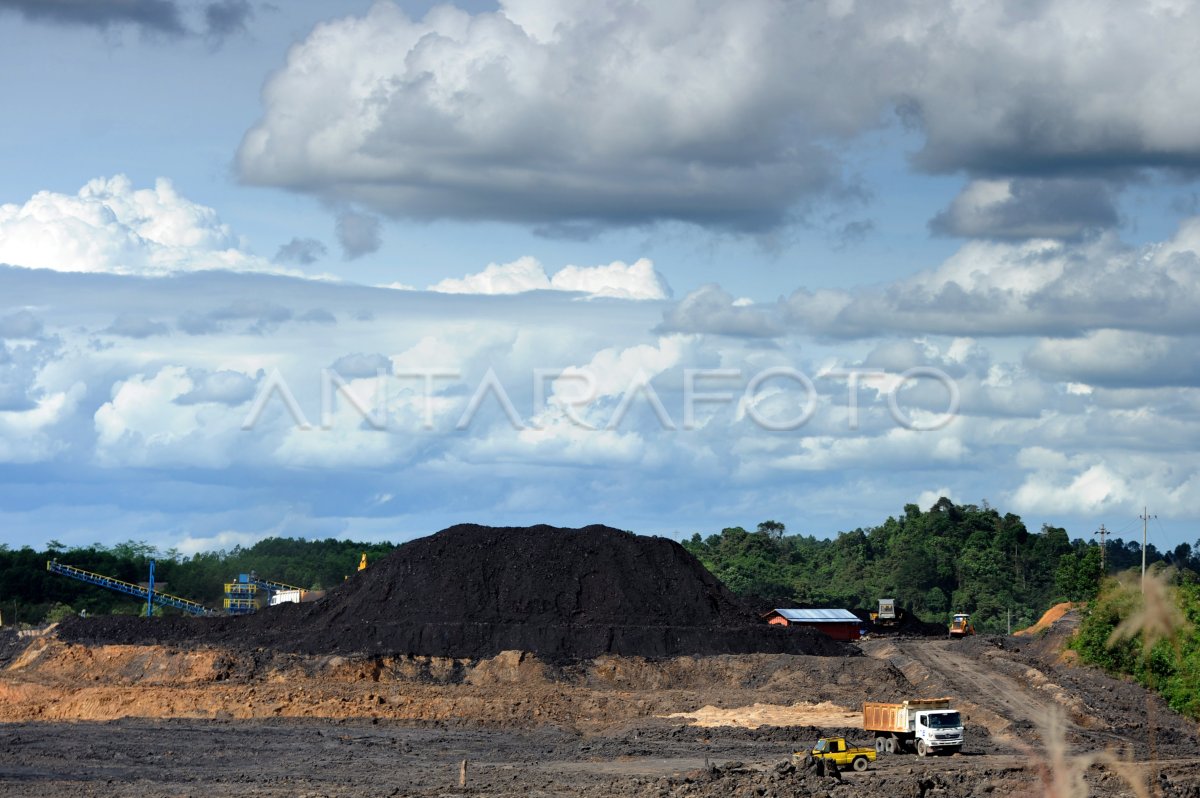 PRIORITAS EKSPOR BATUBARA. | ANTARA Foto