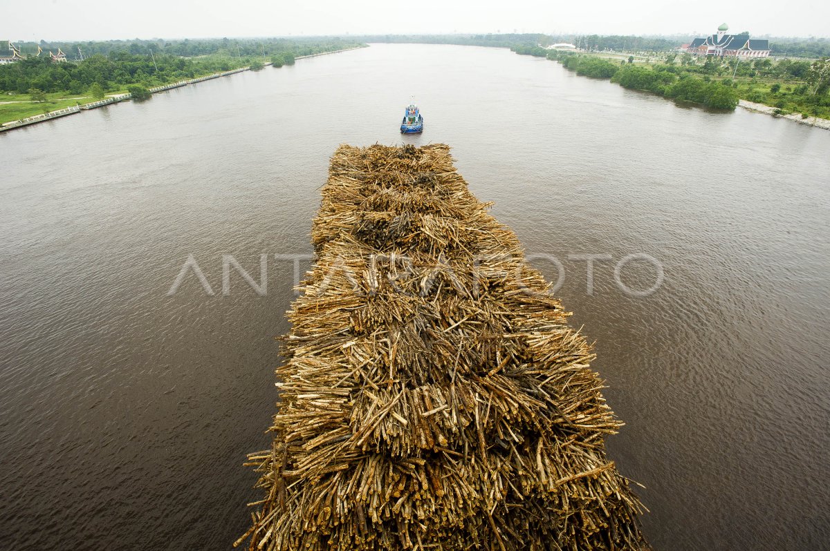 SUNGAI SIAK | ANTARA Foto SUNGAI SIAK | ANTARA Foto