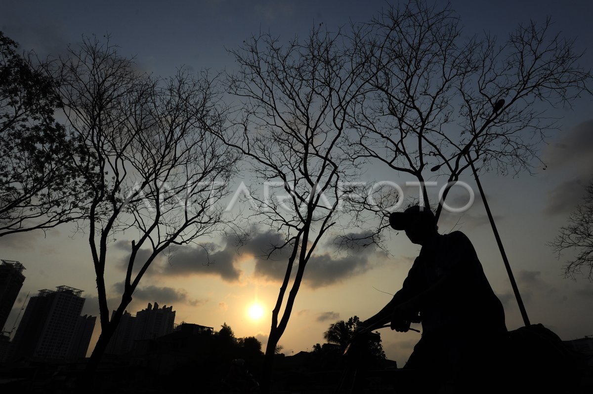 DAMPAK FENOMENA EL NINO | ANTARA Foto DAMPAK FENOMENA EL NINO | ANTARA Foto