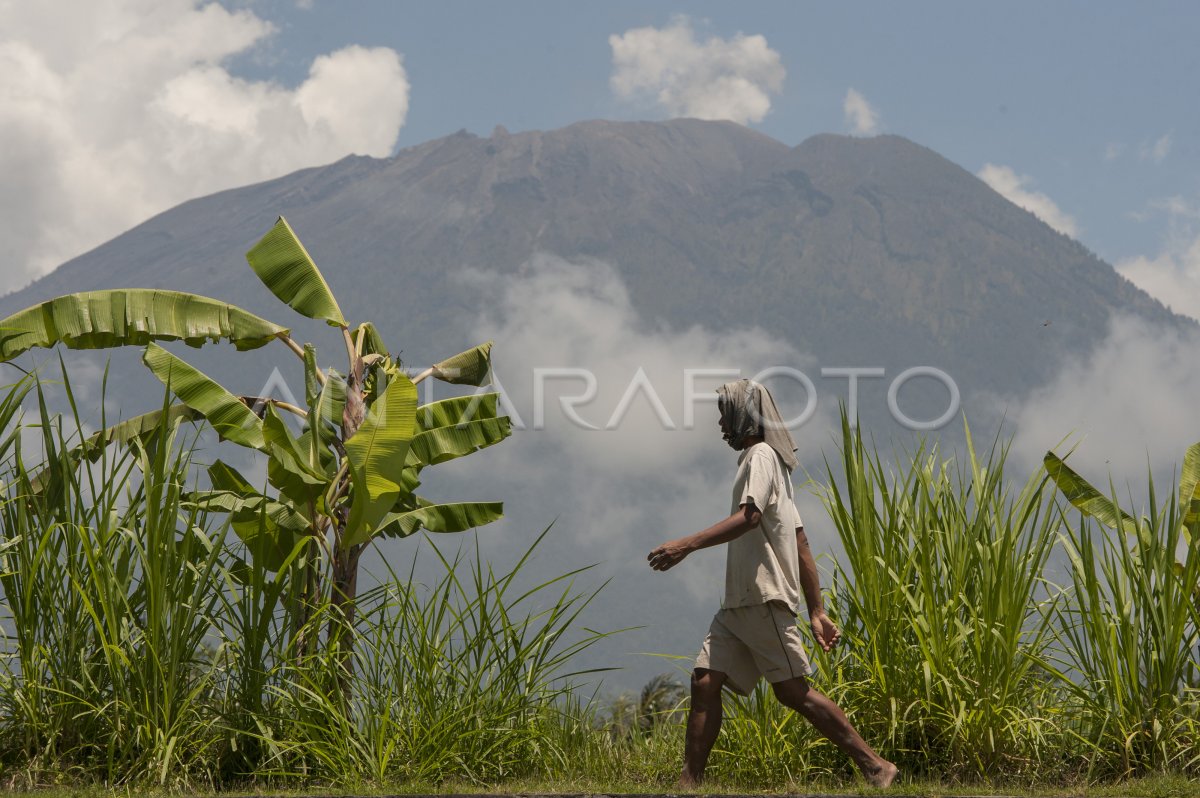 STATUS AWAS GUNUNG AGUNG | ANTARA Foto STATUS AWAS GUNUNG AGUNG | ANTARA Foto