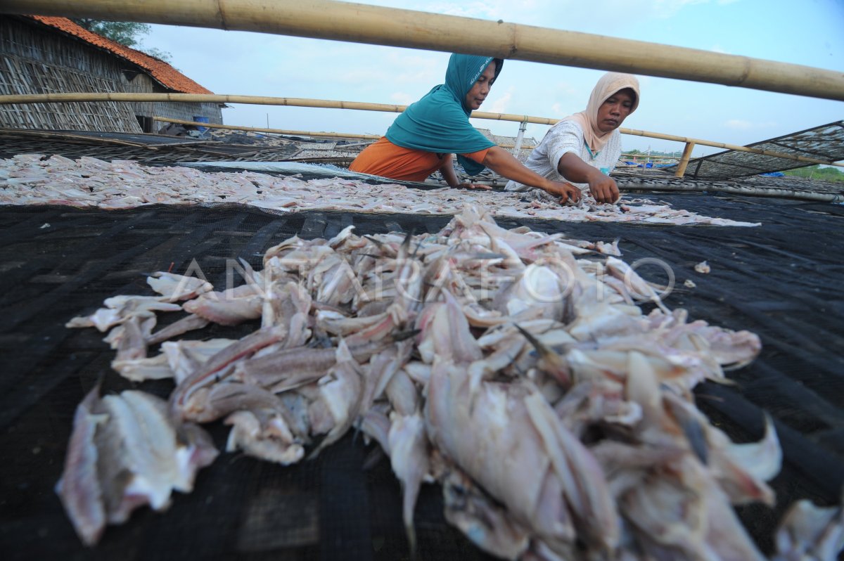 PRODUKSI IKAN KERING MENINGKAT | ANTARA Foto