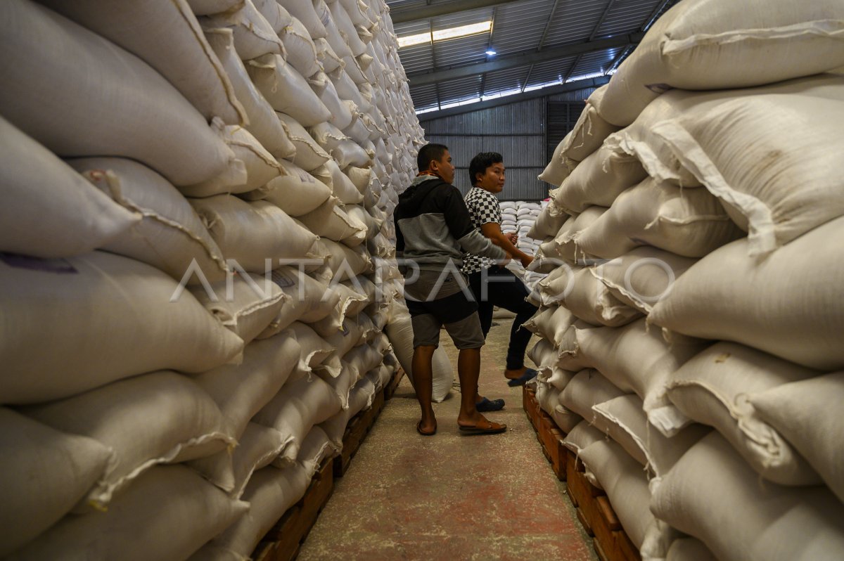 STOK BERAS BULOG HADAPI PANDEMI COVID-19 | ANTARA Foto STOK BERAS BULOG HADAPI PANDEMI COVID-19 | ANTARA Foto