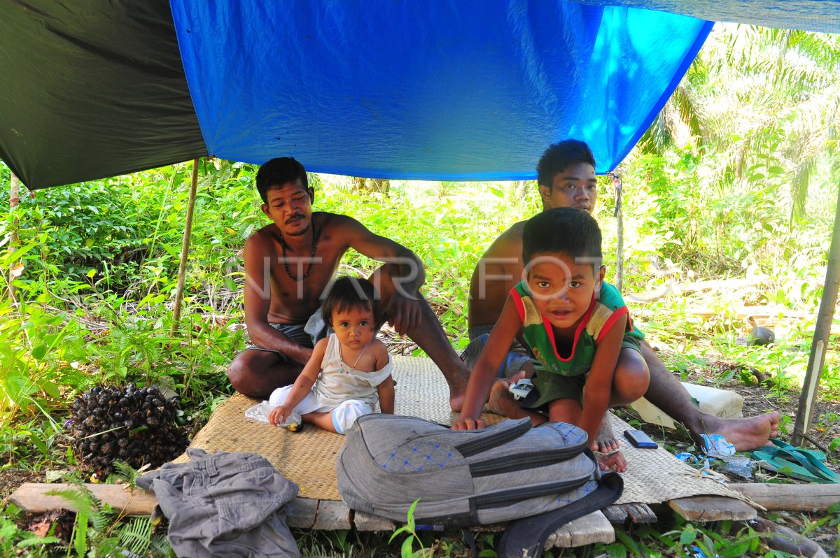 ORANG RIMBA TERDAMPAK PANDEMI | ANTARA Foto ORANG RIMBA TERDAMPAK PANDEMI | ANTARA Foto