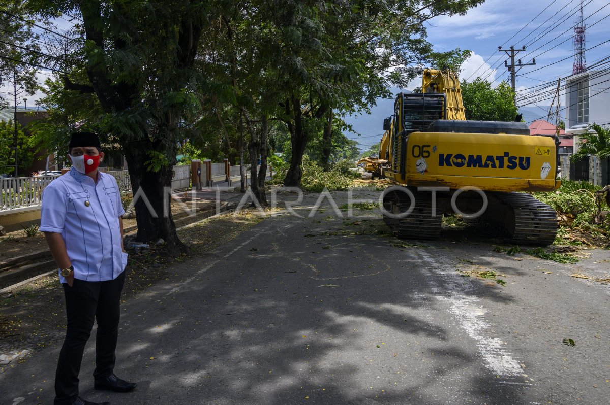 PELEBARAN JALAN KORBANKAN POHON | ANTARA Foto PELEBARAN JALAN KORBANKAN POHON | ANTARA Foto