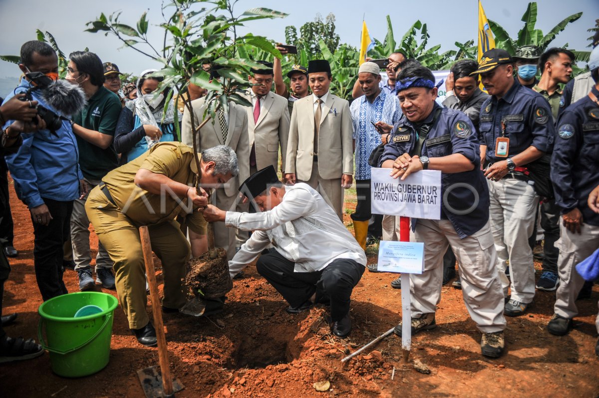 PERINGATAN HARI HUTAN HUJAN SEDUNIA | ANTARA Foto