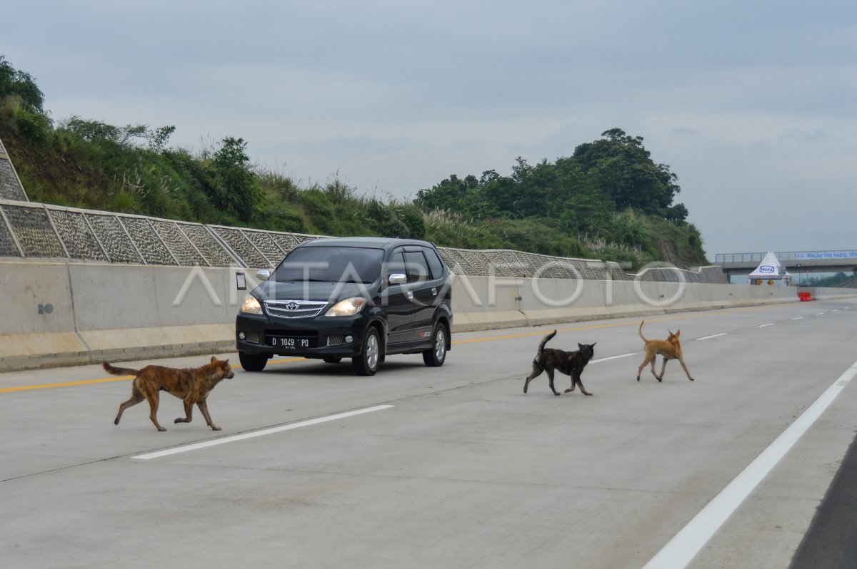 ARUS MUDIK DI JALUR FUNGSIONAL TOL CISUMDAWU | ANTARA Foto