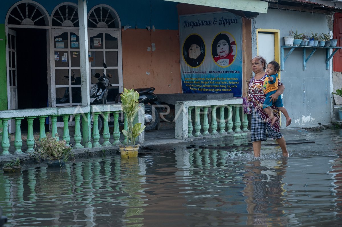 Banjir rob rendam pemukiman warga di Palu | ANTARA Foto