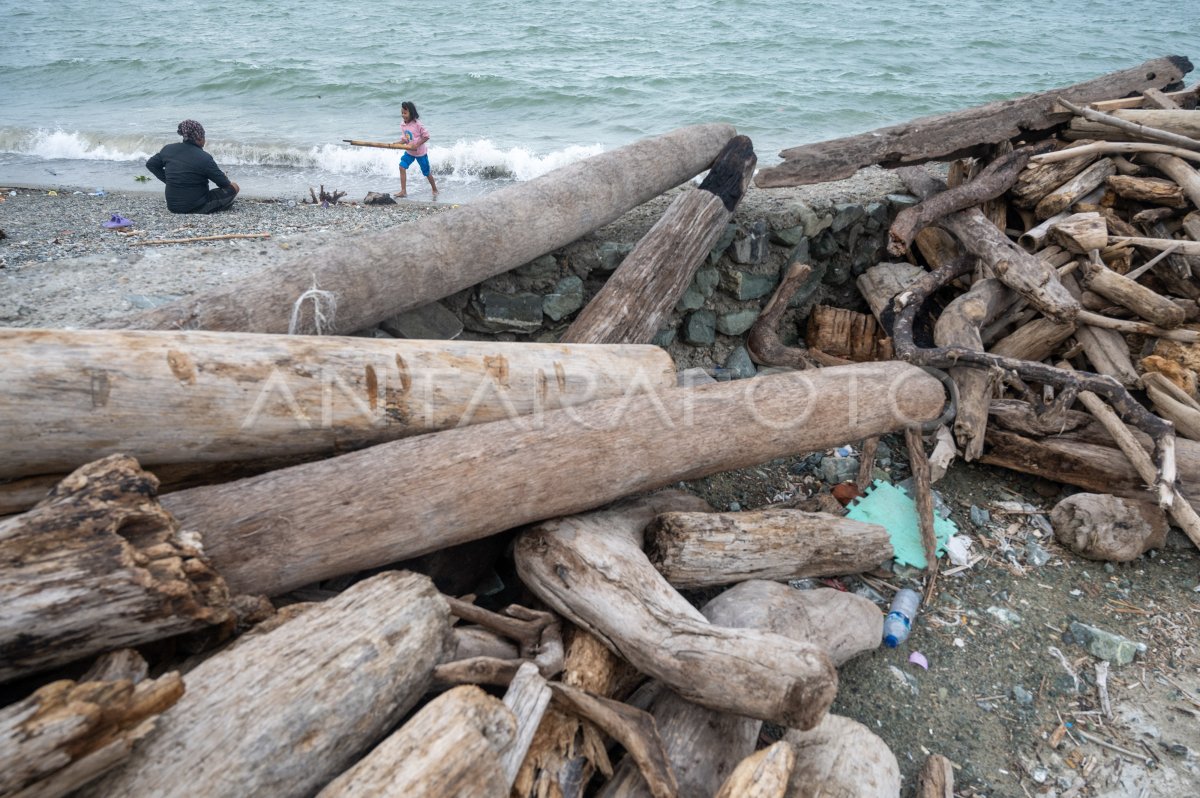 Pemanfaatan sampah kayu | ANTARA Foto